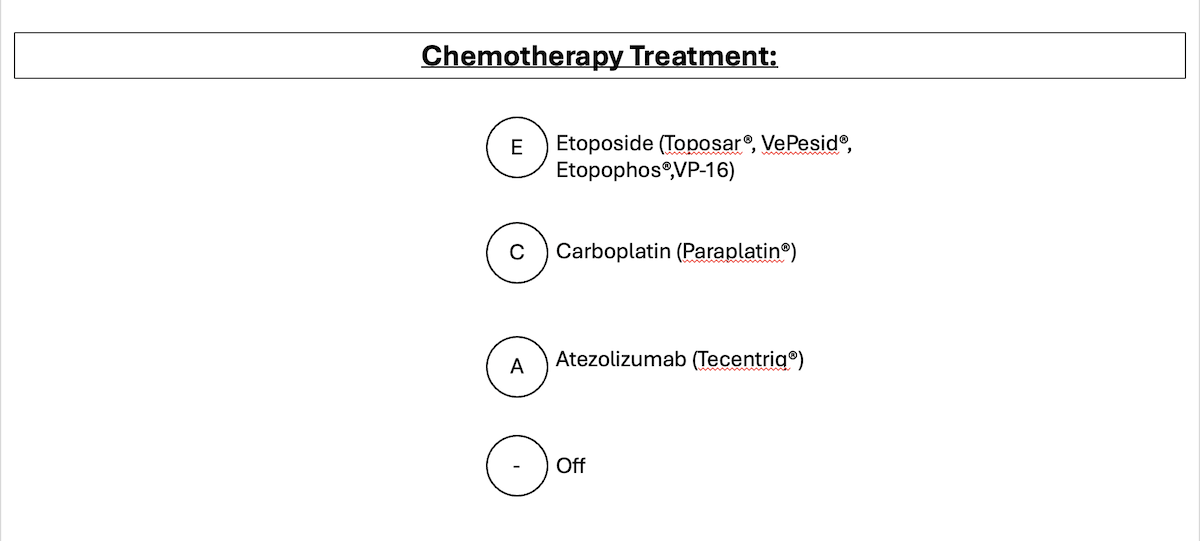 Regimen Calendar: Small Cell Lung Cancer- Etoposide, Carboplatin, and ...