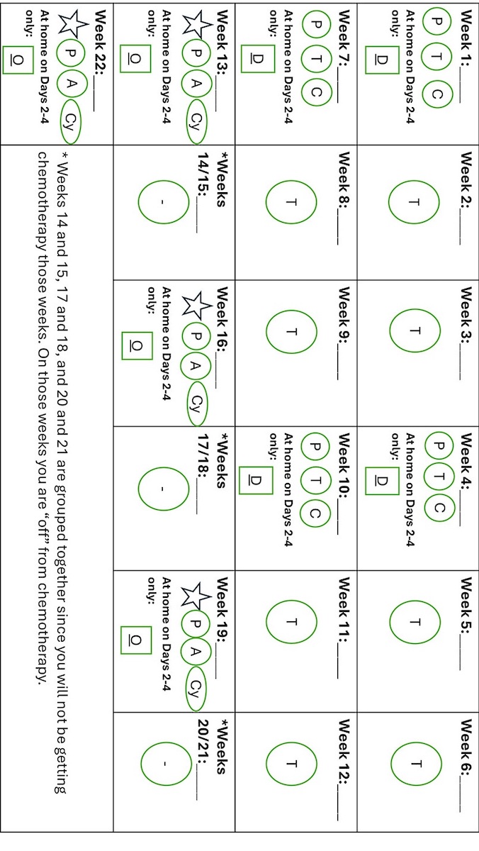 Regimen Calendar: Breast - Carboplatin, Taxol, Pembrolizumab, Cytoxan, Doxorubicin | OncoLink